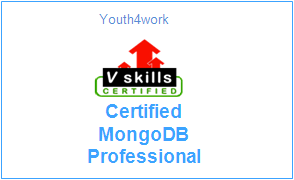 VSkills Certified Business Intelligence Professional