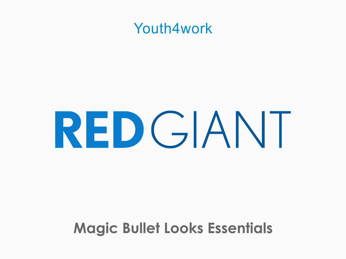 Magic Bullet Looks Essentials