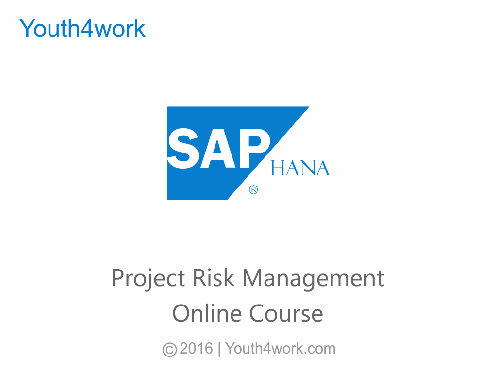 Project Risk Management Online Course