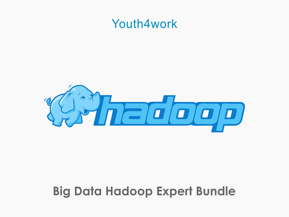 Big Data Hadoop Expert Bundle Big Data Hadoop Expert Bundle
