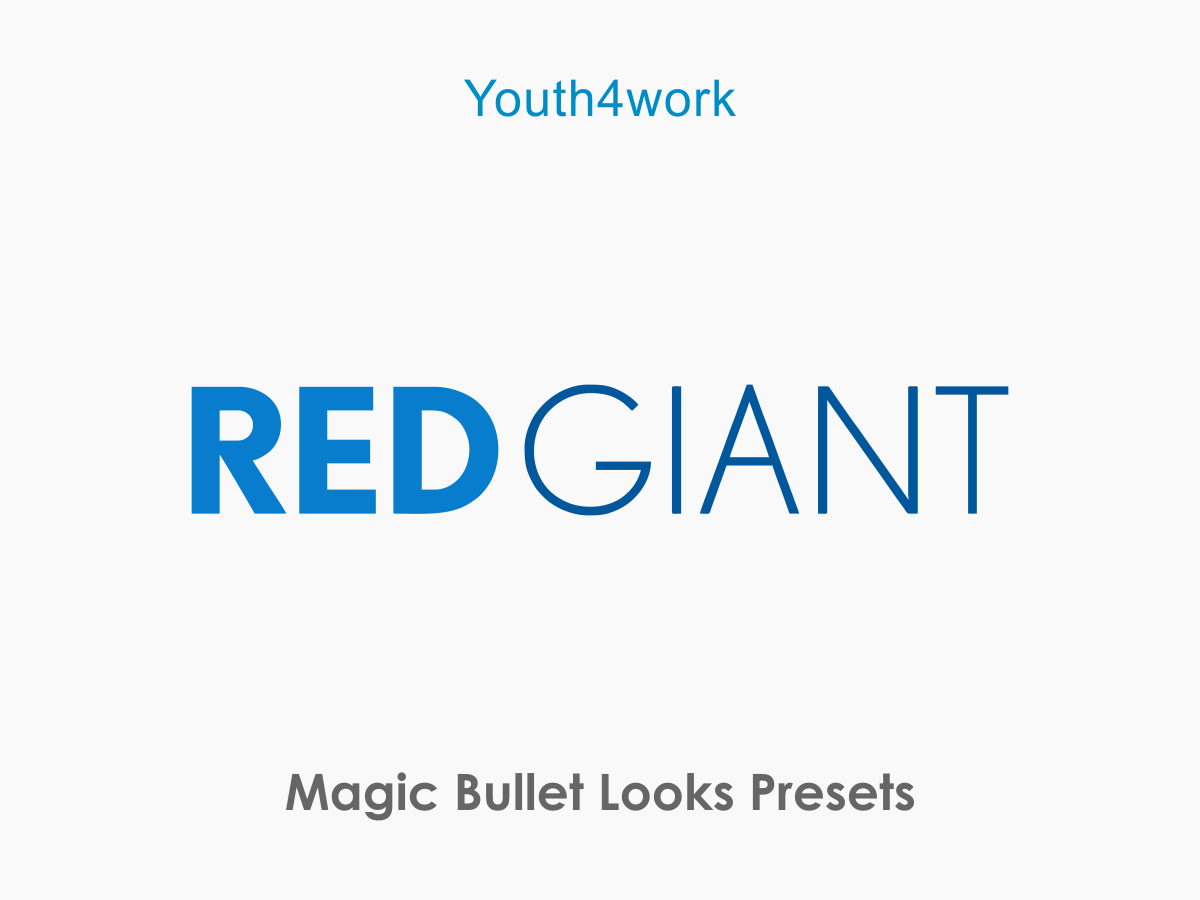 Magic Bullet Looks Essentials