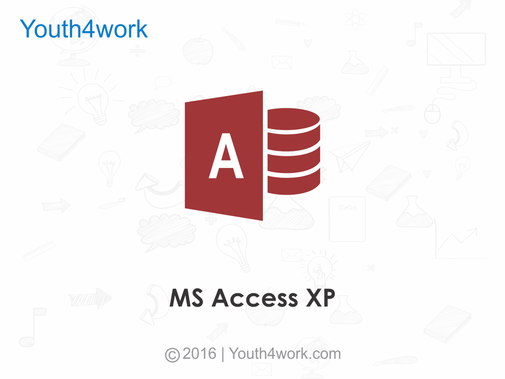 VSkills Certified Excel 2003 Professional