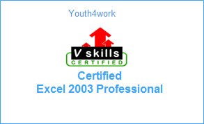 VSkills Certified Excel 2003 Professional