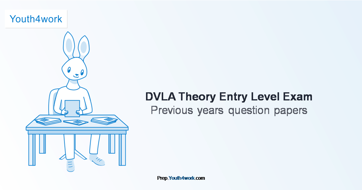 Driving License DVLA UK information