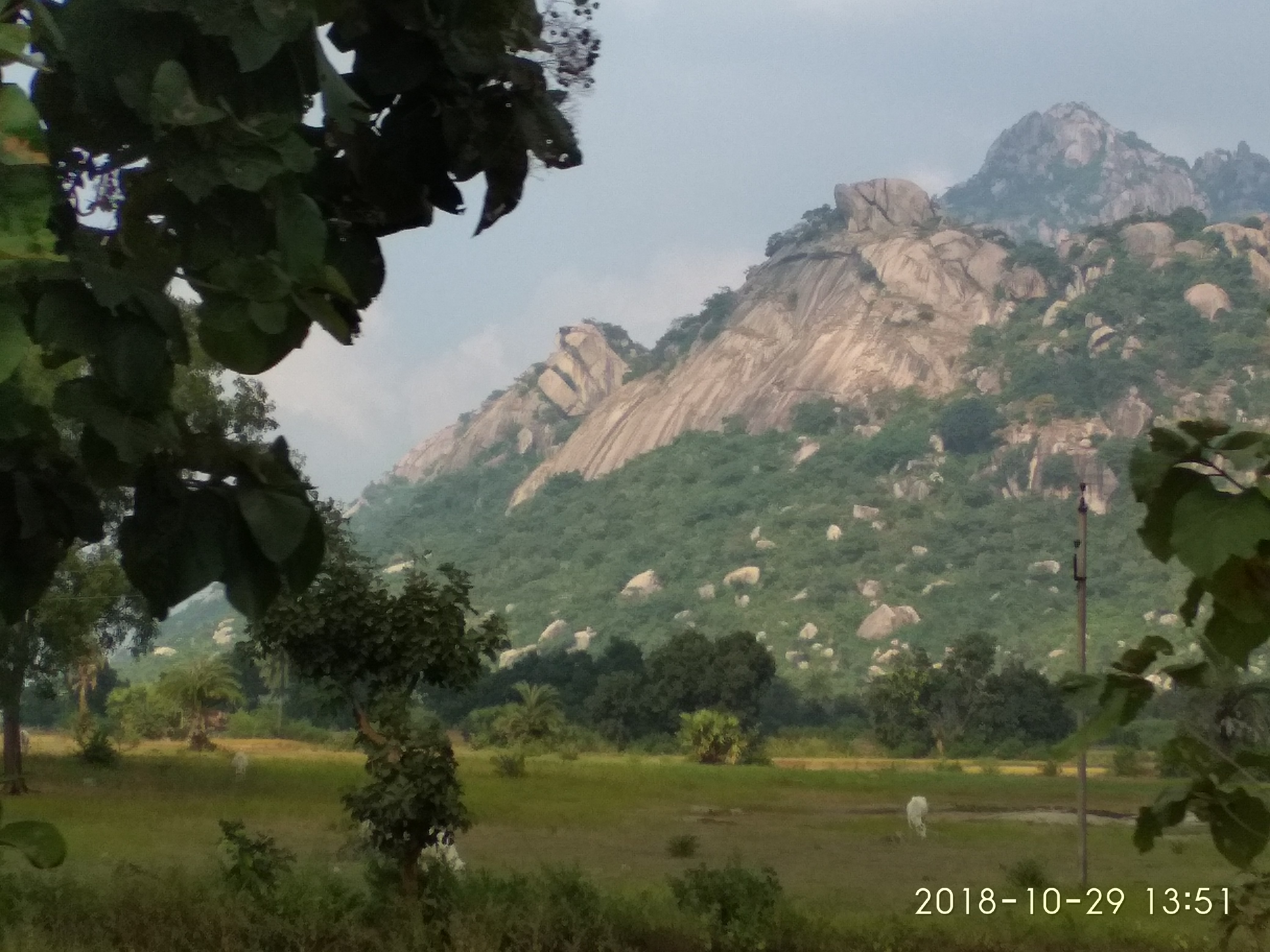 Reviews – MIT-Muzaffarpur Institute of Technology