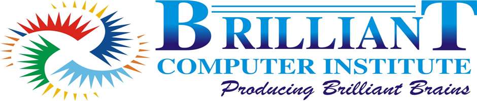 Students & Alumni Profiles – Brilliant Computer Institute