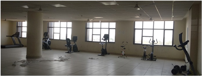 DDUC-Deen Dayal Upadhyaya College