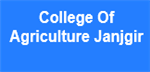 Top Colleges in Janjgir-Champa - 2025 Updated - List