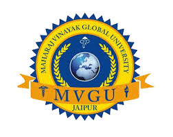How is the placement cell of MVGU-Maharaj Vinayak Global University ...